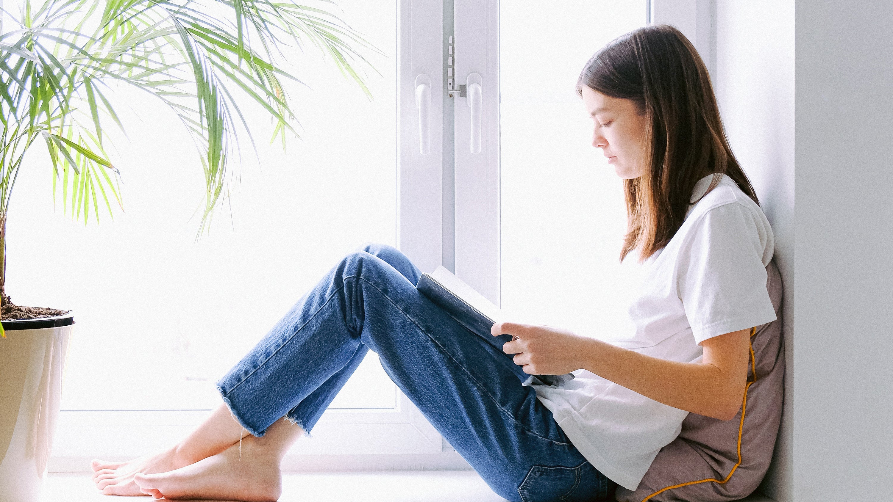 The Benefits of Window Film - Window Whirl