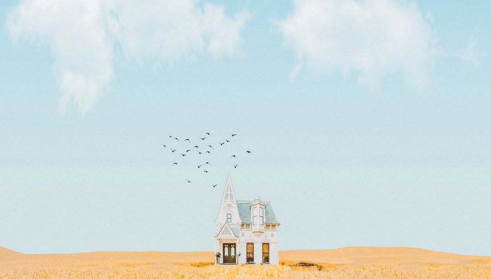 6 Creative Ways to Use Window Film - Window Whirl